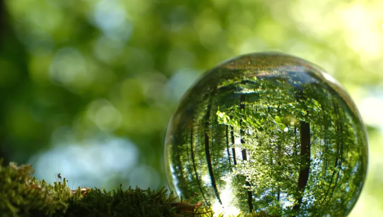 RS Metrics and Media - RS Metrics